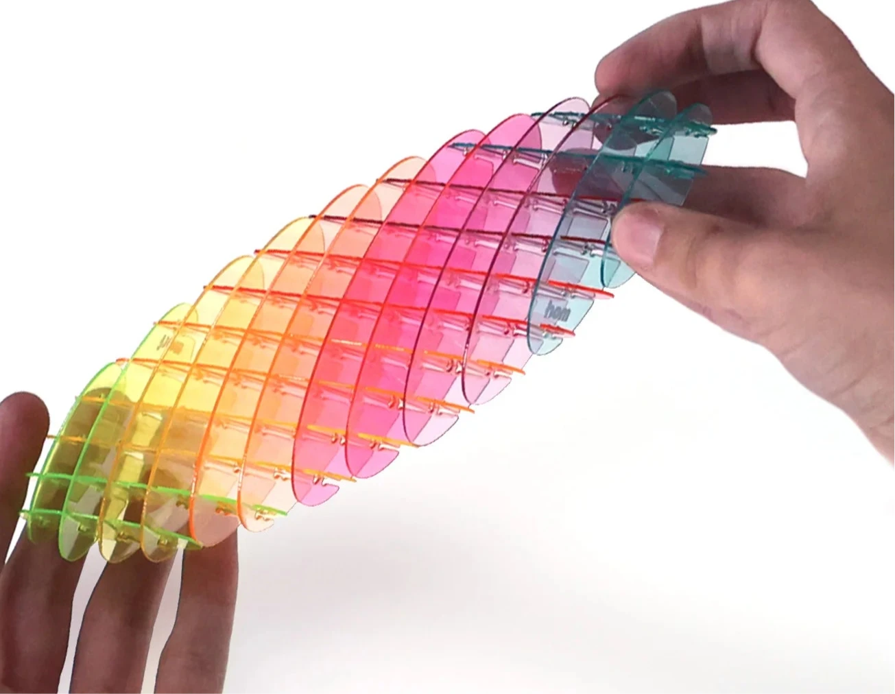 Morf Fidget Worm – Mrs. Robinson's Tea Shop