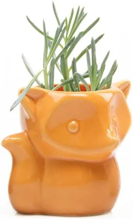 Fox Ceramic Indoor Plant Pot – Mrs. Robinson's Tea Shop