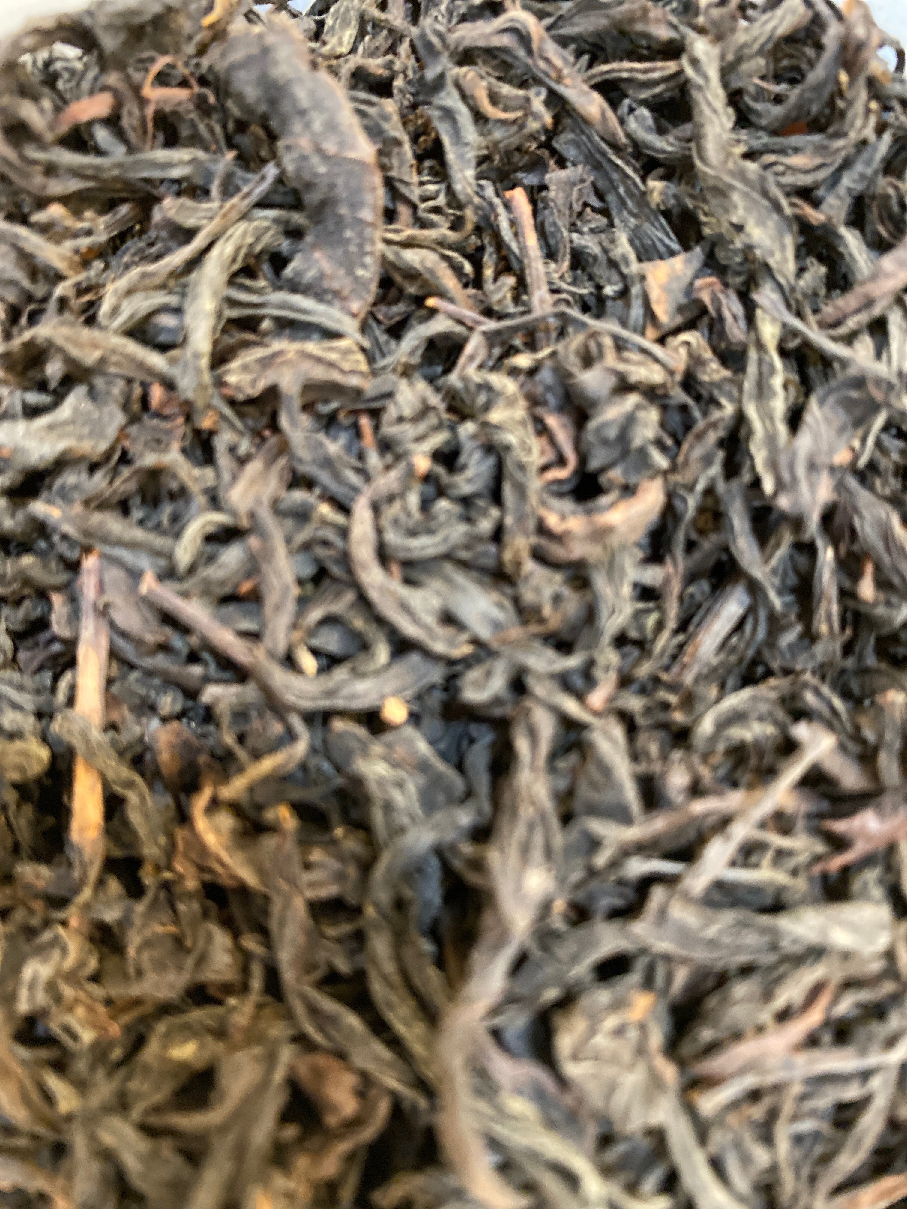 Bohea -5572 - Bohea – Mrs. Robinson's Tea Shop